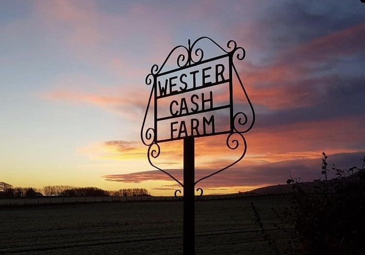 Farming with Fendt: Q&A with Russell Black, Wester Cash Farm - Hamilton ...